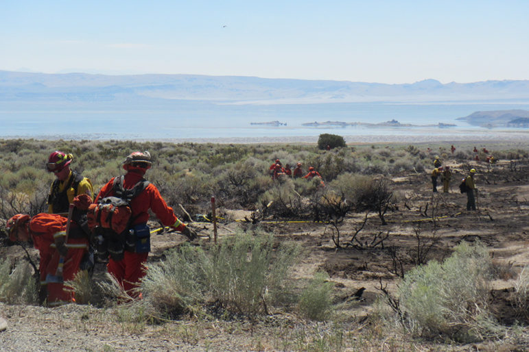 Wilson Fire burning north of Mono Lake