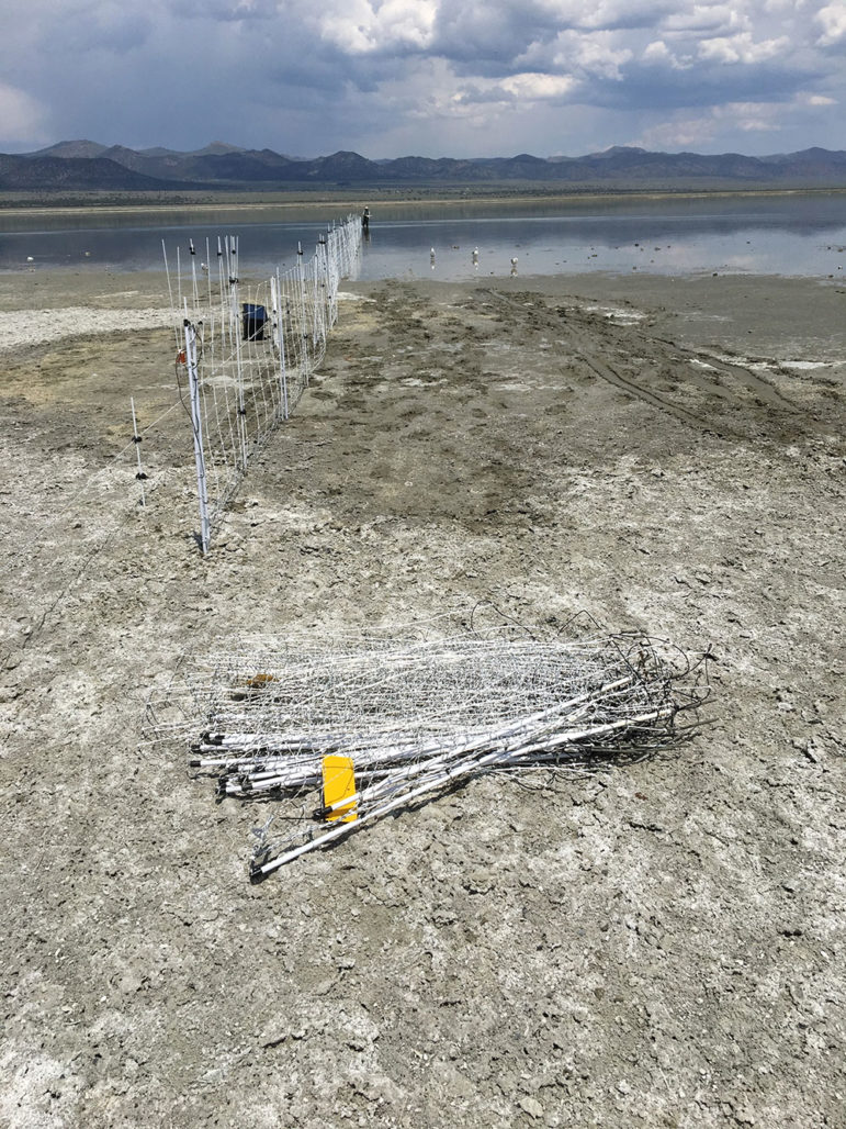 Scaling back the fence thanks to a rising Mono Lake