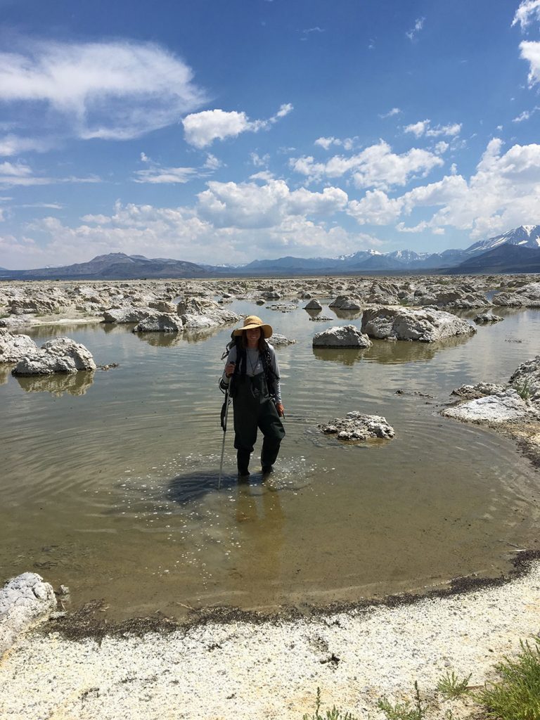 Scaling back the fence thanks to a rising Mono Lake