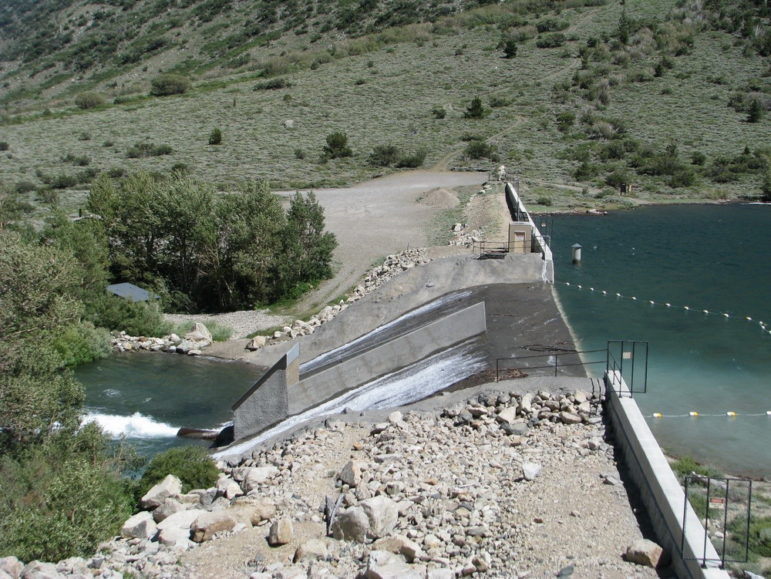 Explore Lundy Canyon with a guide during Saturday morning bird walks