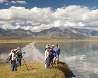 About Mono Lake