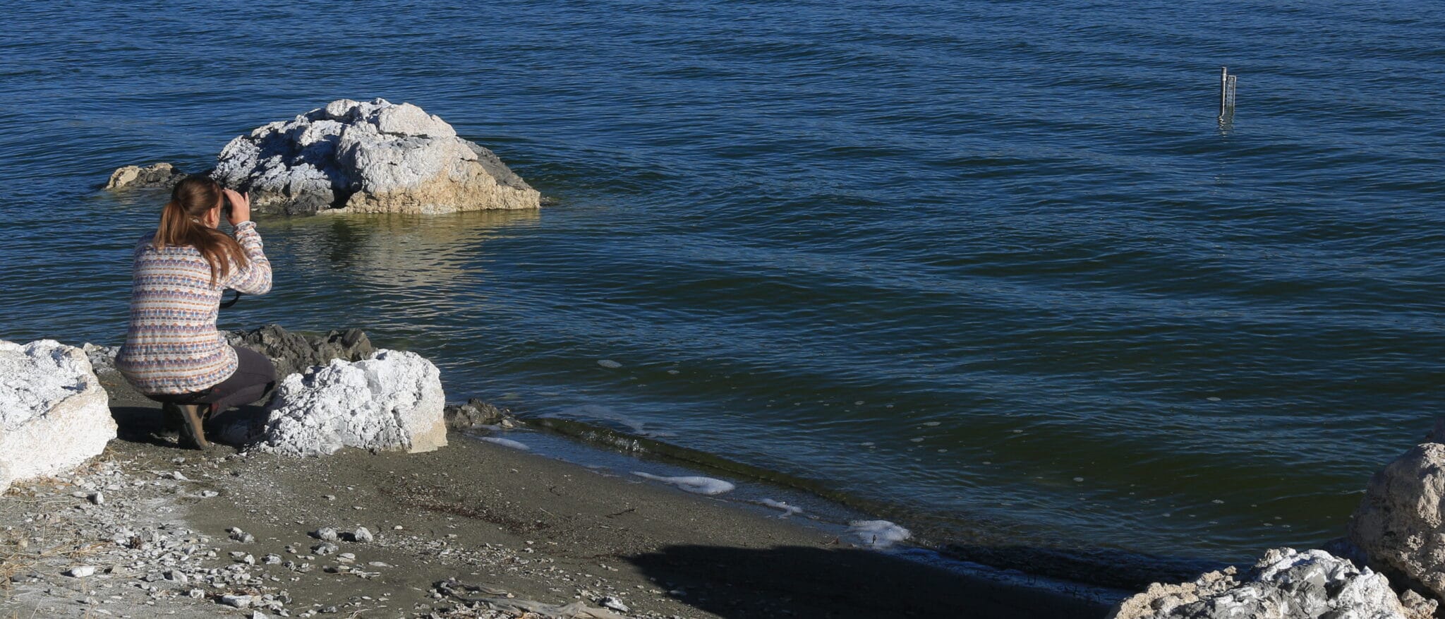 Mono Lake Committee | Keep Saving Mono Lake