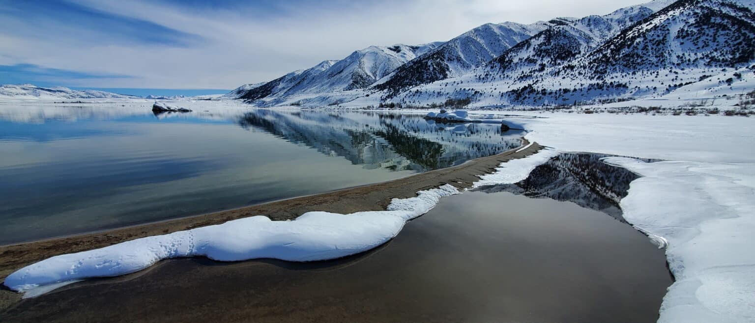 Mono Lake Committee | Keep Saving Mono Lake