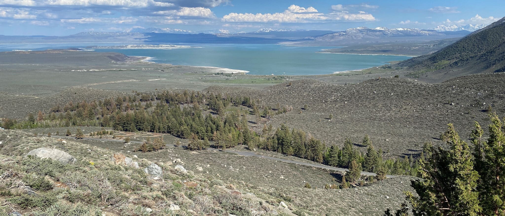 Home - Mono Lake
