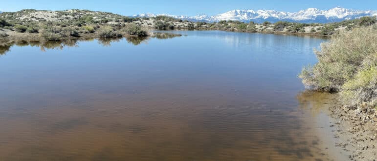 Mono Lake Committee | Keep Saving Mono Lake