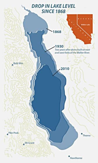 Walker Lake, Nevada is on the rise