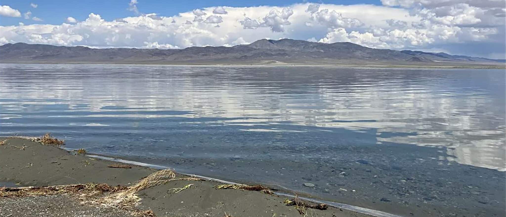Mono Lake Committee | Keep Saving Mono Lake