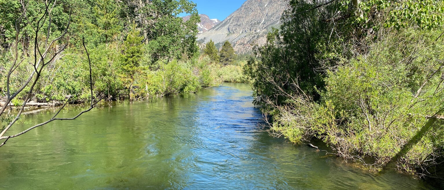 Mono Lake Committee | Keep Saving Mono Lake