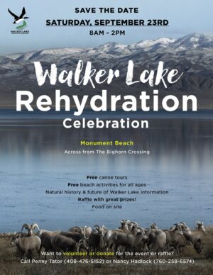 Walker Lake Rehydration Celebration
