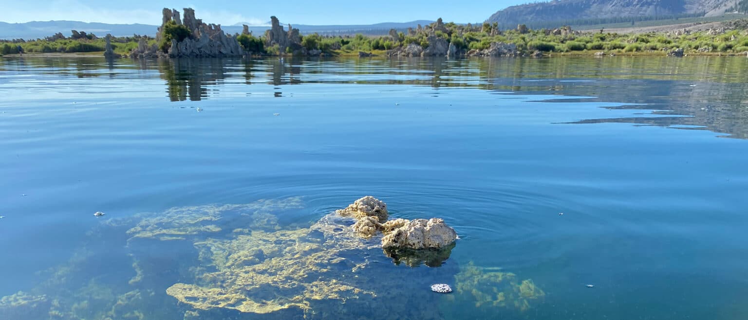 Mono Lake Committee | Keep Saving Mono Lake