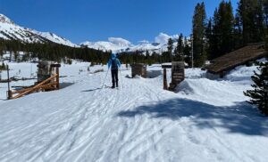 A report from Tioga Pass