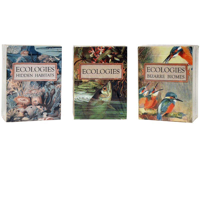 Ecologies card games