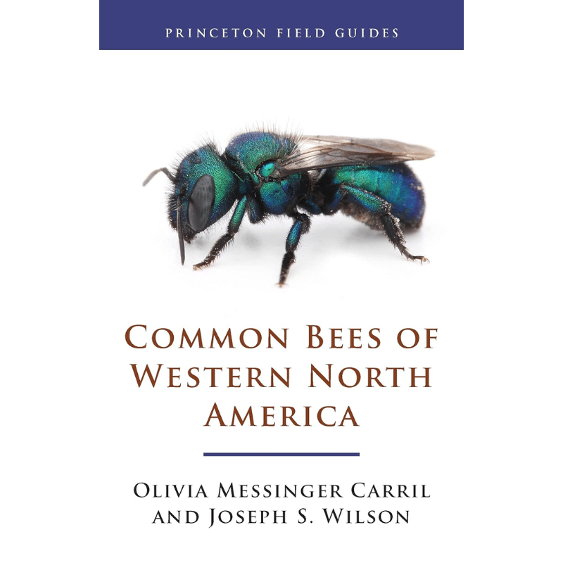 Common Bees of Western North America