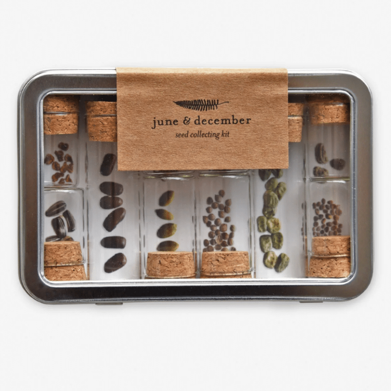 Seed collecting kit