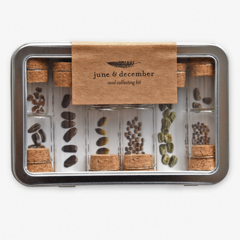 Seed collecting kit