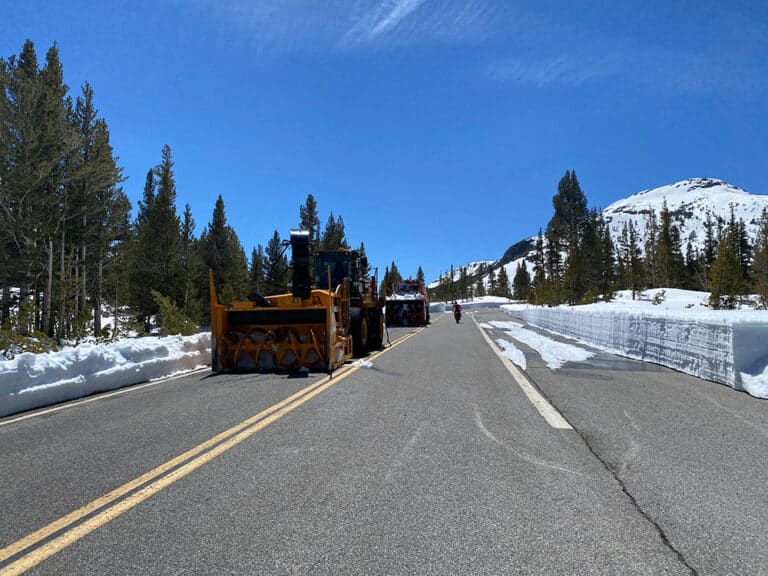 A report from Tioga Pass