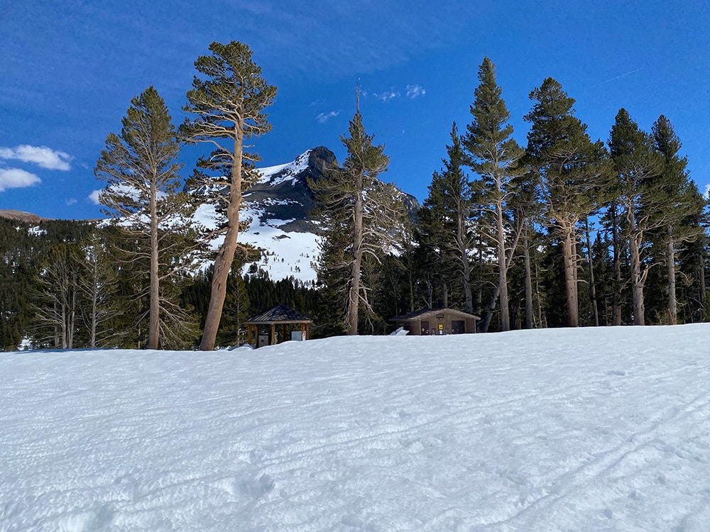 A report from Tioga Pass