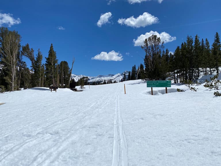 A report from Tioga Pass