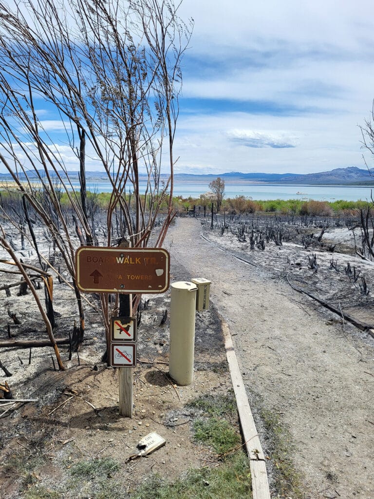 An update about the Inn Fire near Mono Lake