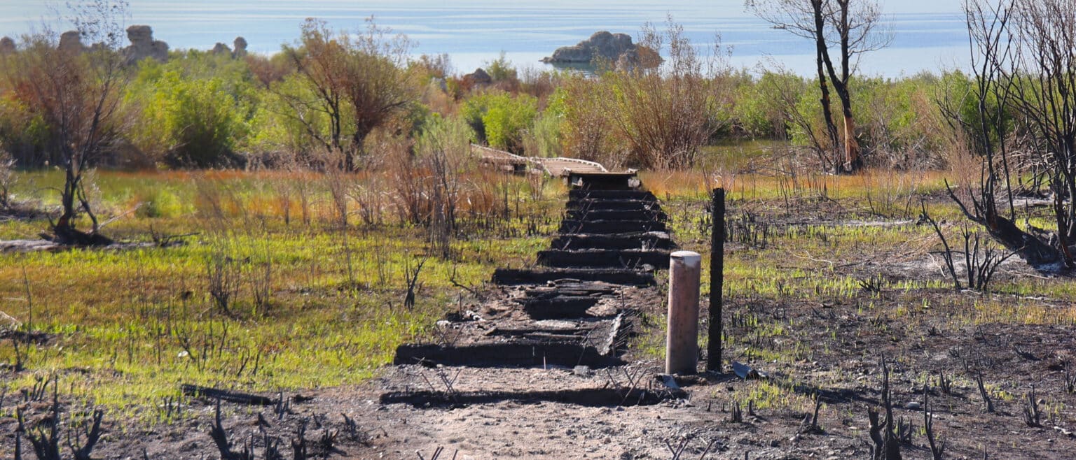 Mono Lake Committee | Keep Saving Mono Lake