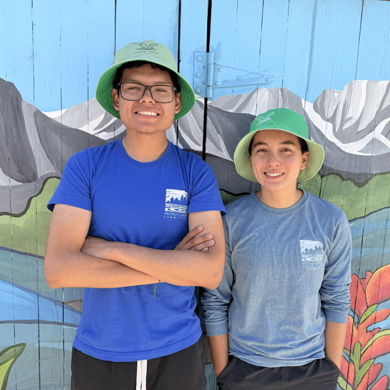 Reversible California gull bucket hat