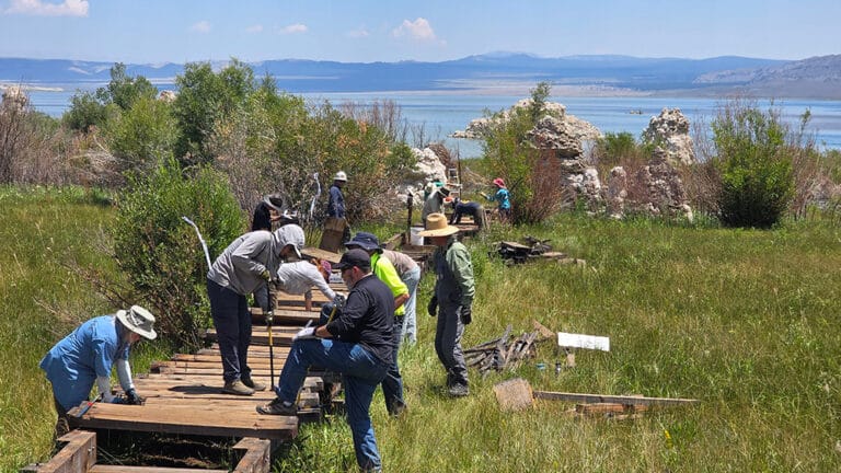 A collaborative success: Fire-damaged State Reserve boardwalk removed