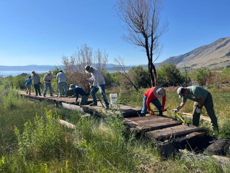 A collaborative success: Fire-damaged State Reserve boardwalk removed