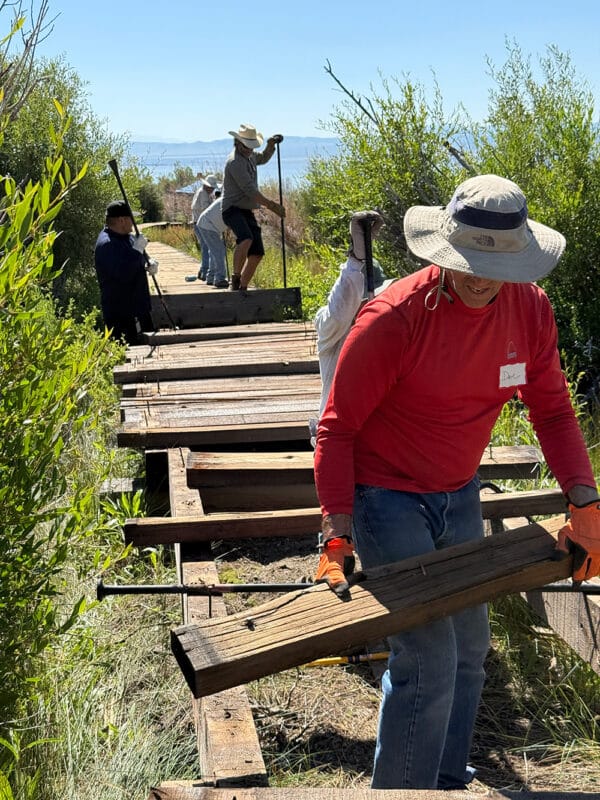 A collaborative success: Fire-damaged State Reserve boardwalk removed