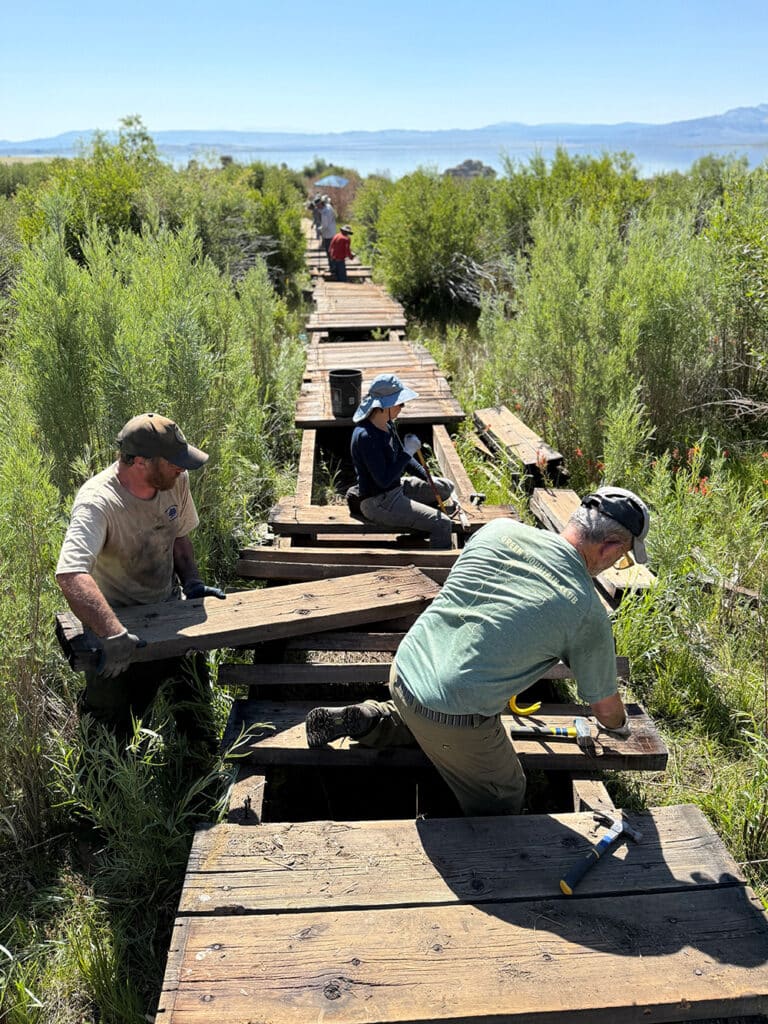 A collaborative success: Fire-damaged State Reserve boardwalk removed