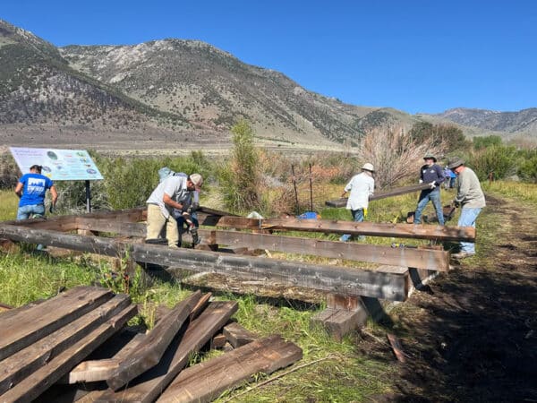 A collaborative success: Fire-damaged State Reserve boardwalk removed